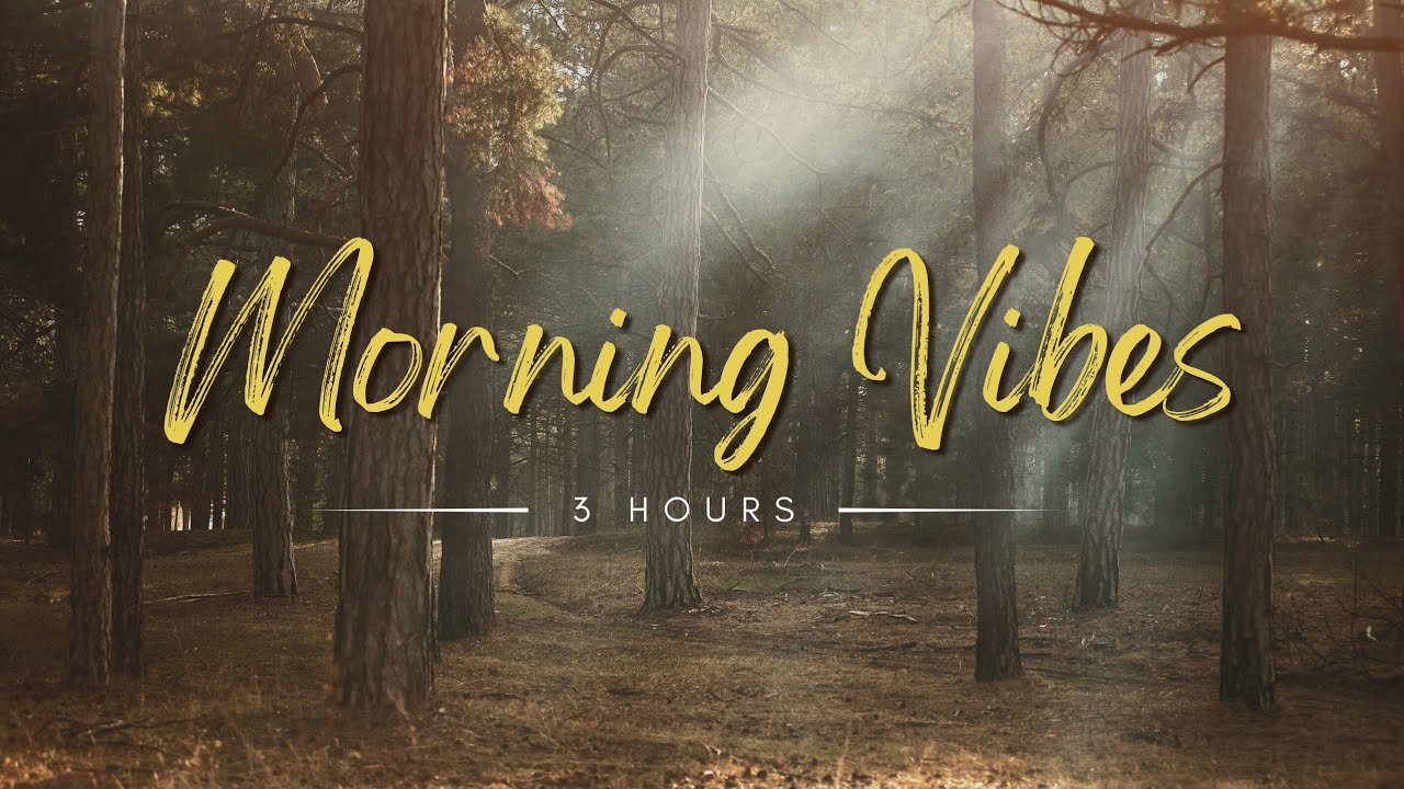 Musik Untuk Tidur • Musik Tenang, Santai, Suara Alam, Cahaya Pagi ...