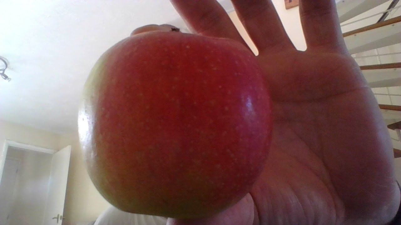 Parton Manor Celebration Assembly 5.6.20 - YouTube