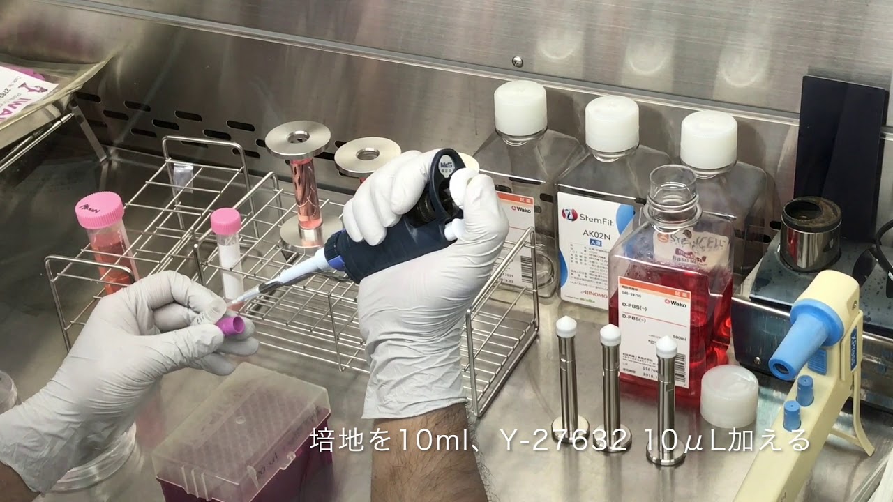 CellPet 3D iPS細胞播種操作編 - YouTube