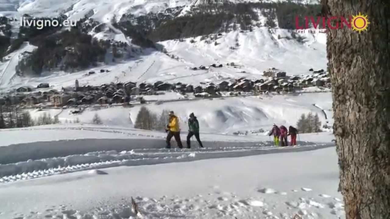 Livigno Neve | A Livigno già si scia - YouTube