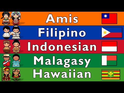 AUSTRONESIAN: AMIS, FILIPINO, INDONESIAN, MALAGASY, HAWAIIAN