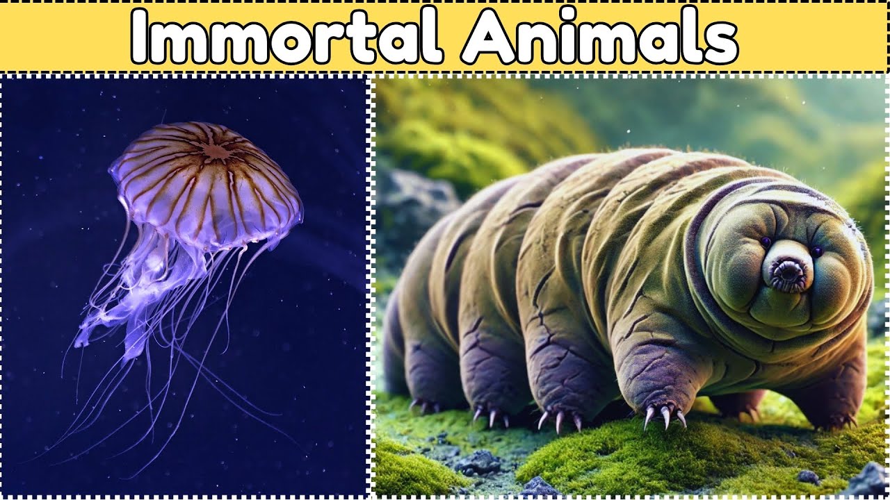 These 10 IMMORTAL ANIMALS Actually Exist? - YouTube