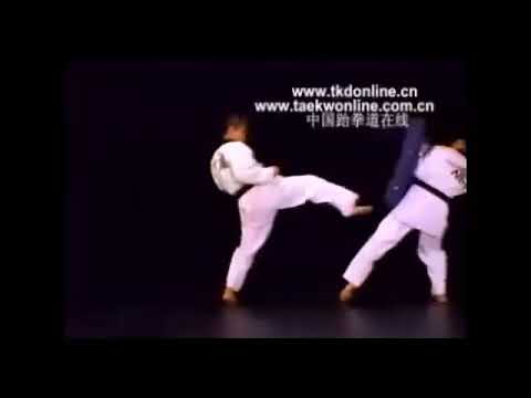 How to do a Pushing Kick (Miro Chagi) - YouTube