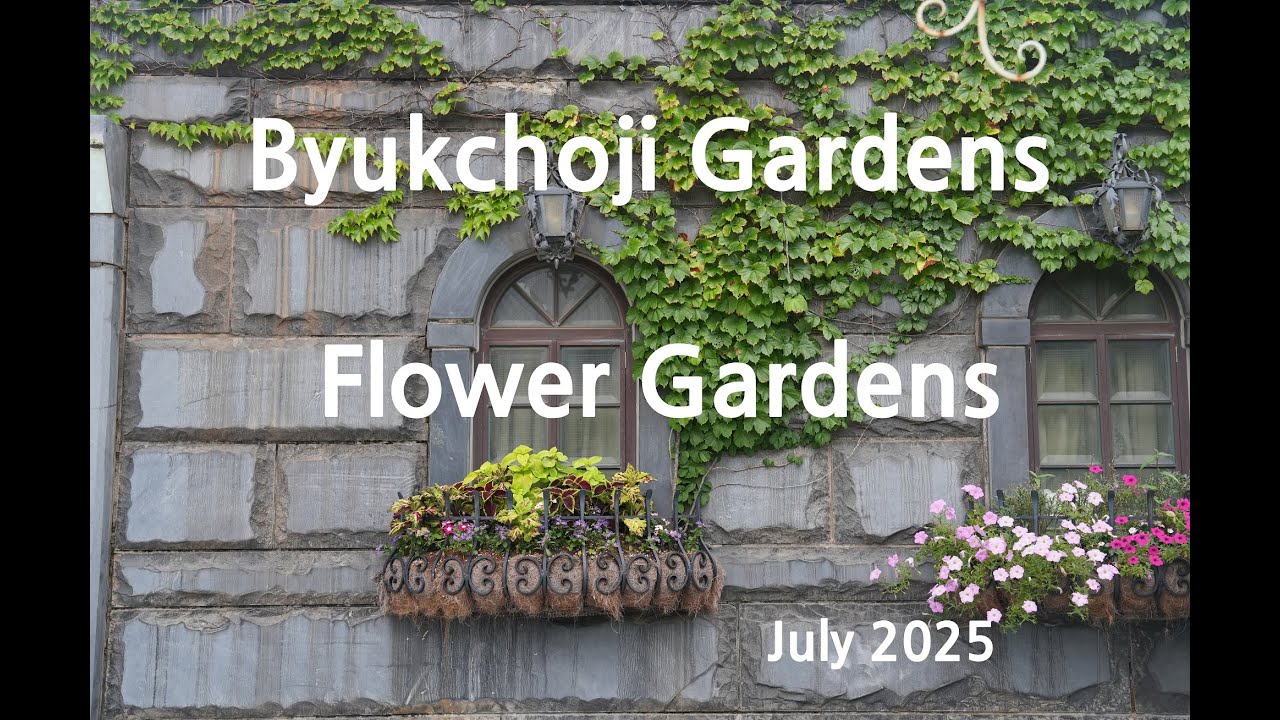 Byukchoji Gardens Flowers- Paju Kyunggi-do,S.Korea , 4K Video & 8K ...