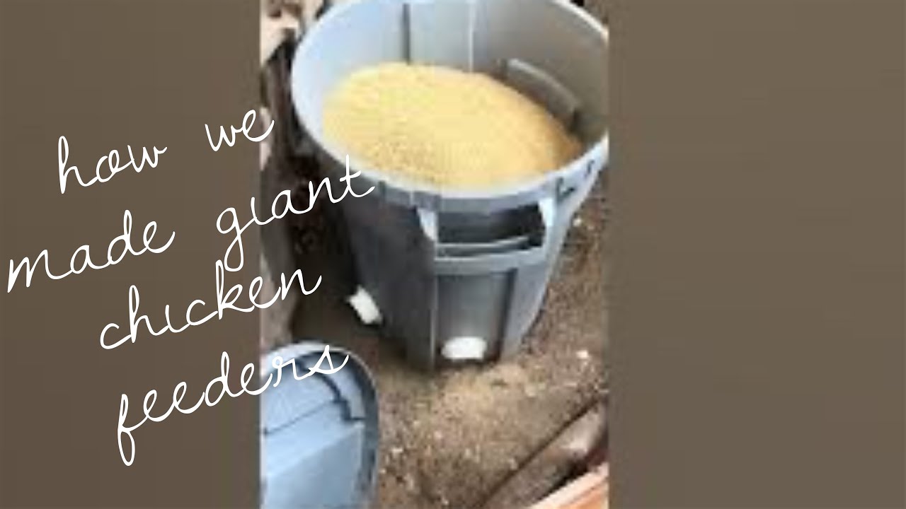 Keeping goats out of the chicken feeders- and how we built trash can ...