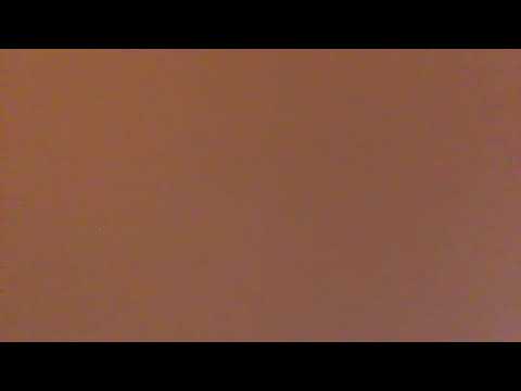 Dovşan mahnısı.Məktəb 238.