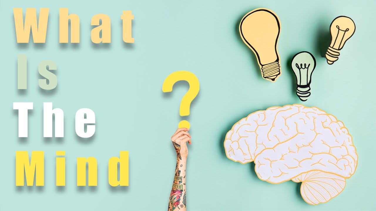 What is the Human Mind? An inside look - YouTube
