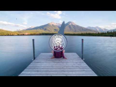 Irina Rimes - Visele (DJ Asher Remix )