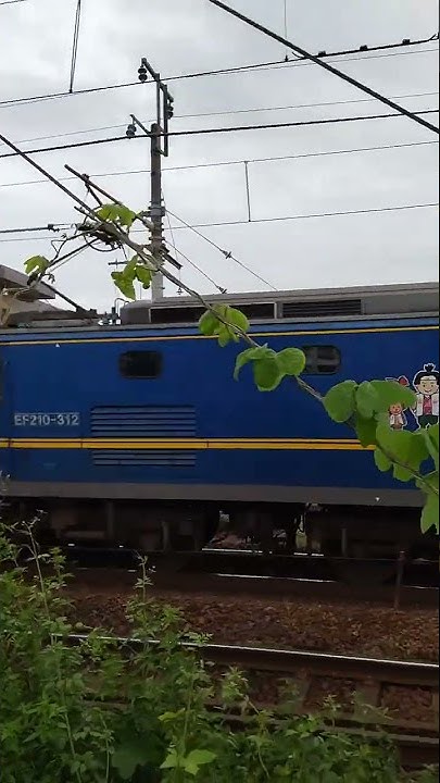 EF210-312🍑日本最大級急勾配セノハチで大仕事終えて貨物ヤードへ2022年9月23日 - YouTube