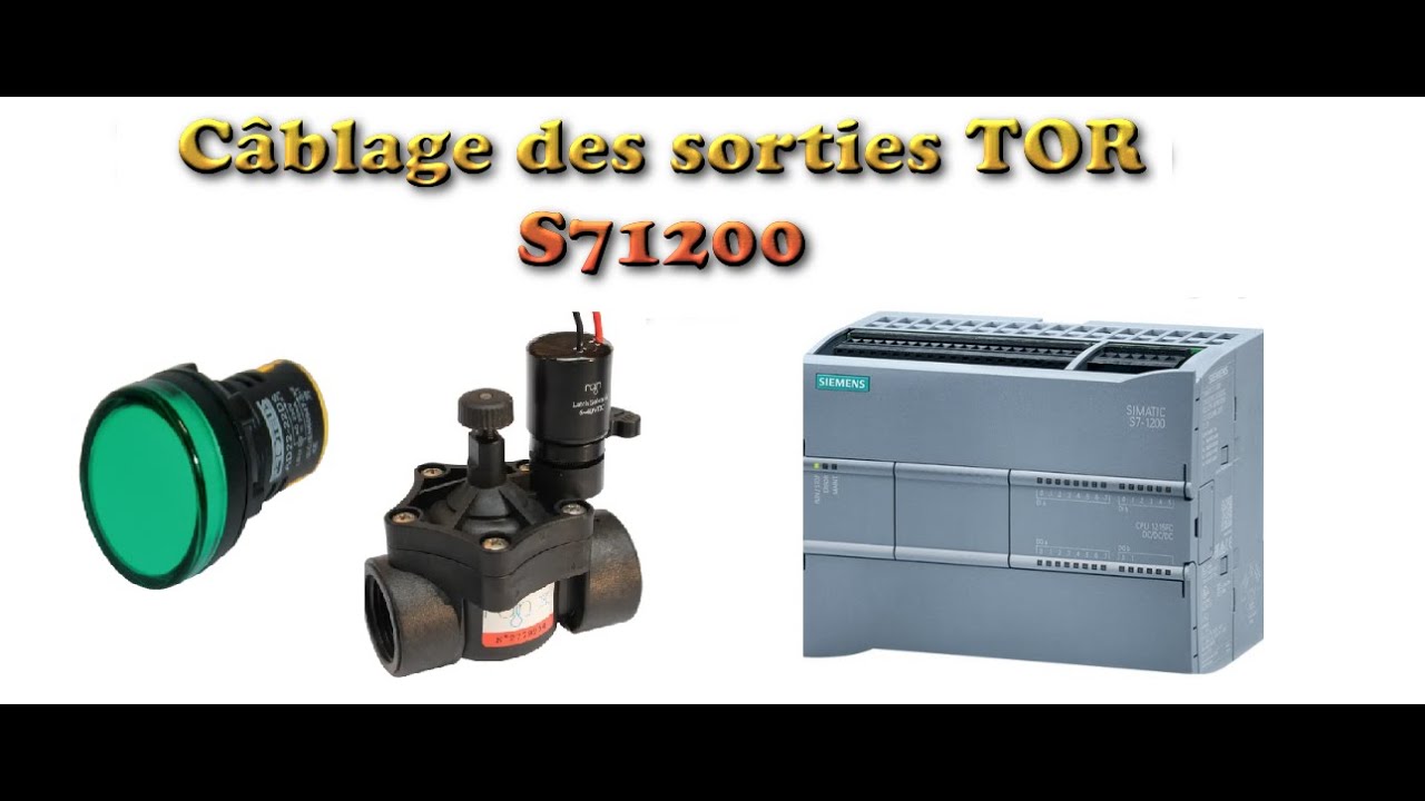 Câblage des sorties TOR S71200 - YouTube