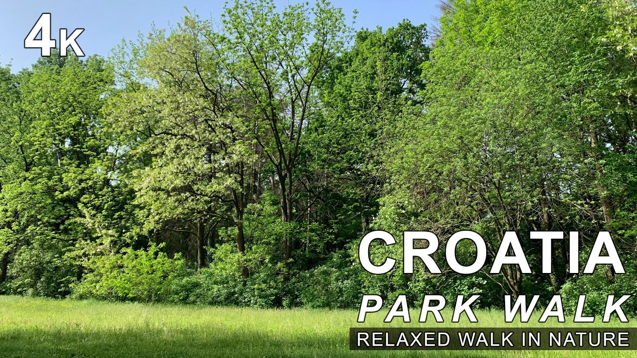 First person walking in the woods | relaxed walk in nature - YouTube