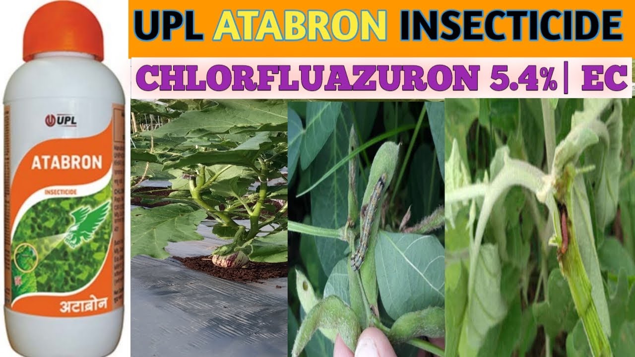 UPL ATABRON INSECTICIDE | ATABRON INSECTICIDE | CHLORFLUAZURON 5.4% ...