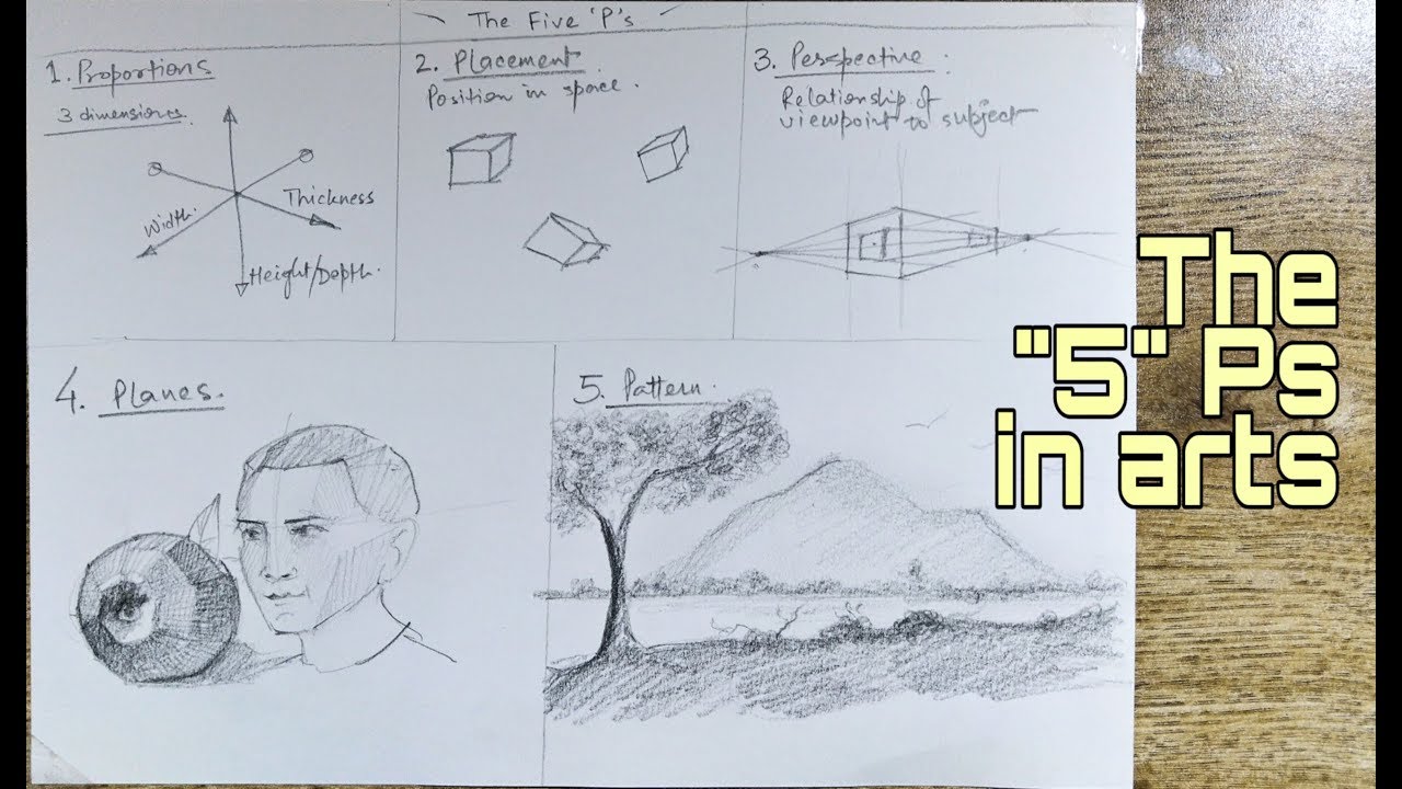Very important for artists - 5 "P"s in drawing - YouTube