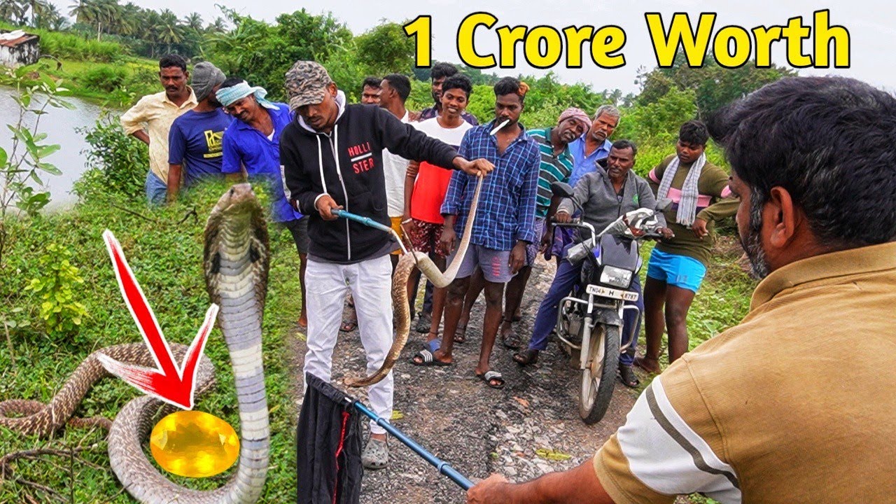 Unforgettable Snake catch ( Public Shocked 😳) - YouTube