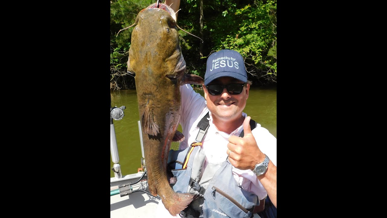 Redneck 101- Hooking Cut Shad for Catfish - YouTube