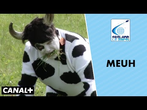 Il décide de changer de sexe pour devenir une vache - Groland le Zapoï du 03/06 - CANAL +