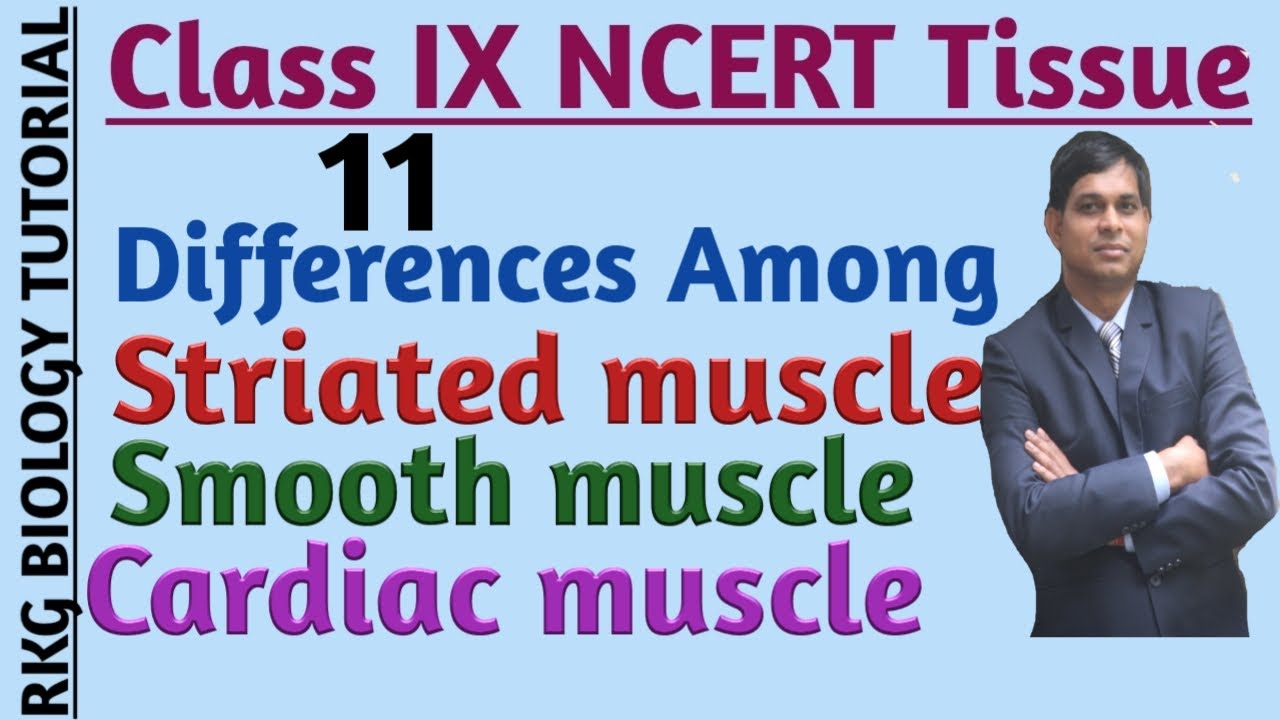 Differences among Striated muscle Smooth muscle & Cardiac muscle 9th ...