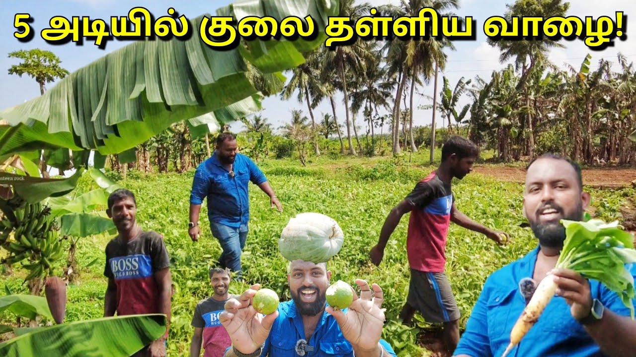 அரசு ஊழியரின் வியக்கவைக்கும் விவசாயம்!😲 ஒருங்கிணைந்த இயற்கை விவசாய ...