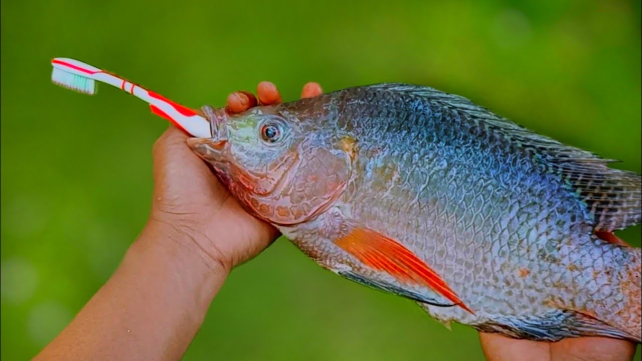 DIY.hook remover || hook remover for fishing - YouTube