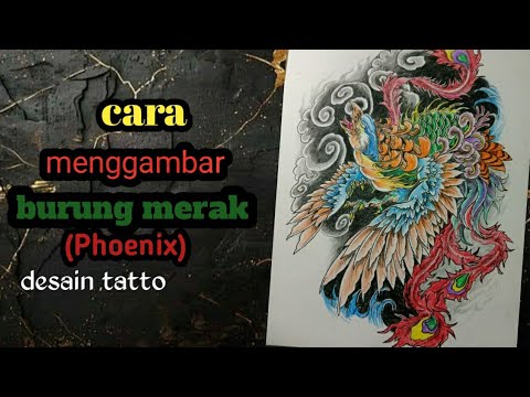 How to draw burung merak(Phoenix) desain tatto - YouTube