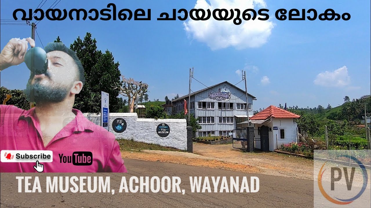 ACHOOR TEA ESTATE WAYANAD |TEA MUSEUM |WAYANAD OPEN SANCTUARY - YouTube