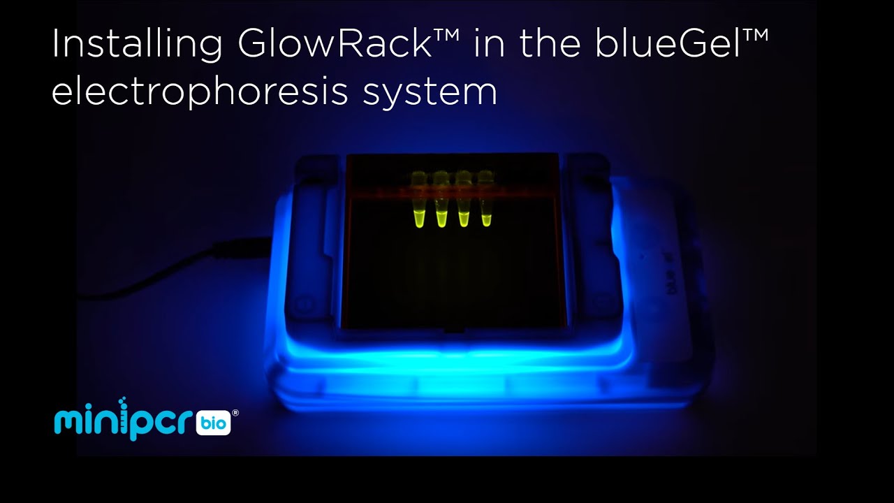 Installing GlowRack™ in the blueGel™ electrophoresis system - YouTube