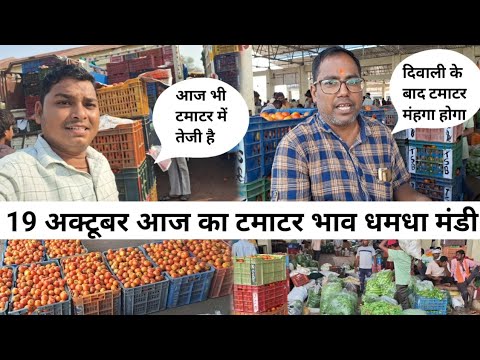 19 October 2025 आज भी टमाटर में तेजी है Dhamdha Mandi Chhattisgarh # ...