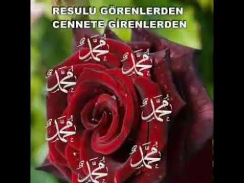 HÜLYA NUR HAYIRLI NURLU CUMALAR🌹