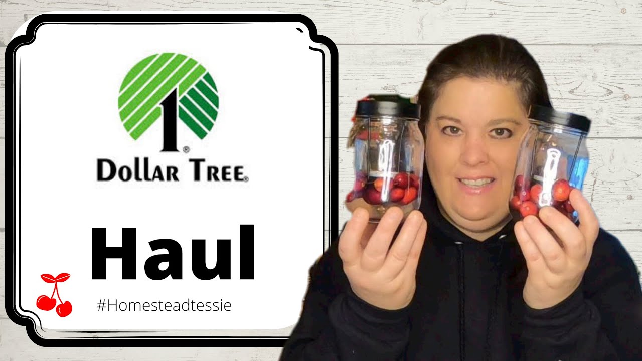 what's new at dollar tree **crazy good new finds!** - YouTube