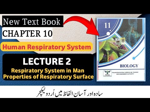 Respiratory System in Man | Properties of Respiratory System | Class 11 ...