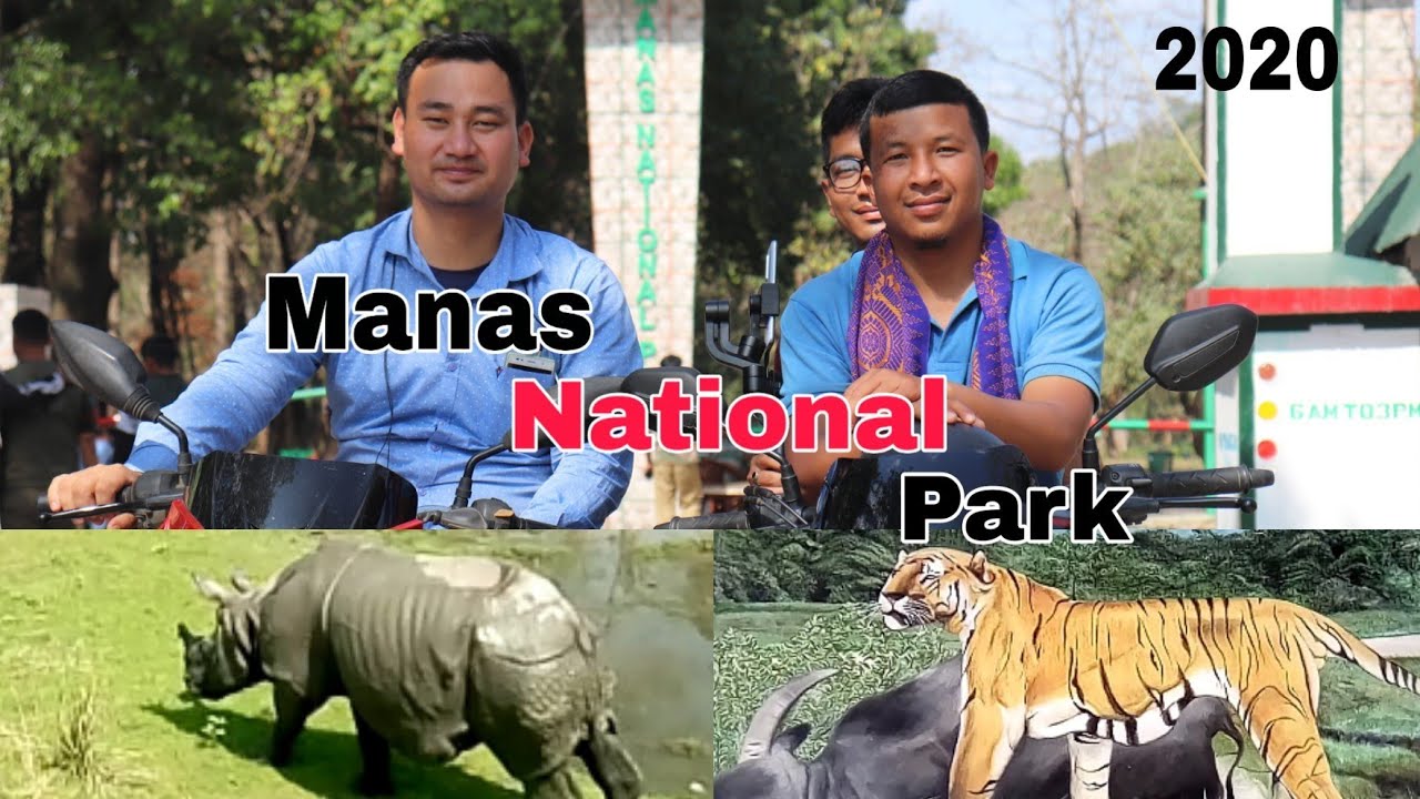 Manas National Park, Baksa / Assamese Boro Vlogs - YouTube