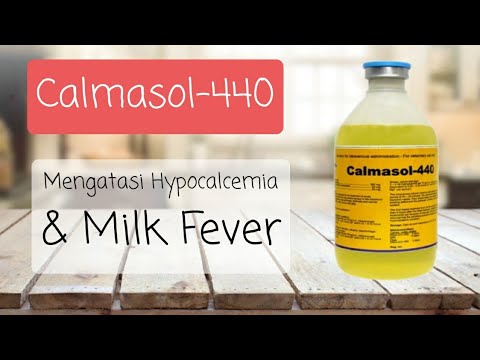 REVIEW CALMASOL-440| KEGUNAAN, DOSIS & ATURAN PAKAI - YouTube