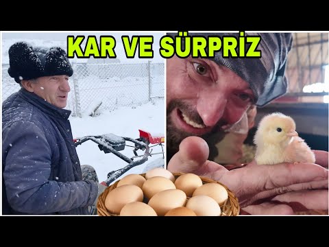 9 NİSAN SÜRPRİZİ..BİR KUTU HEDİYE..KAR BASTIRDI CİVCİLER CIKTI