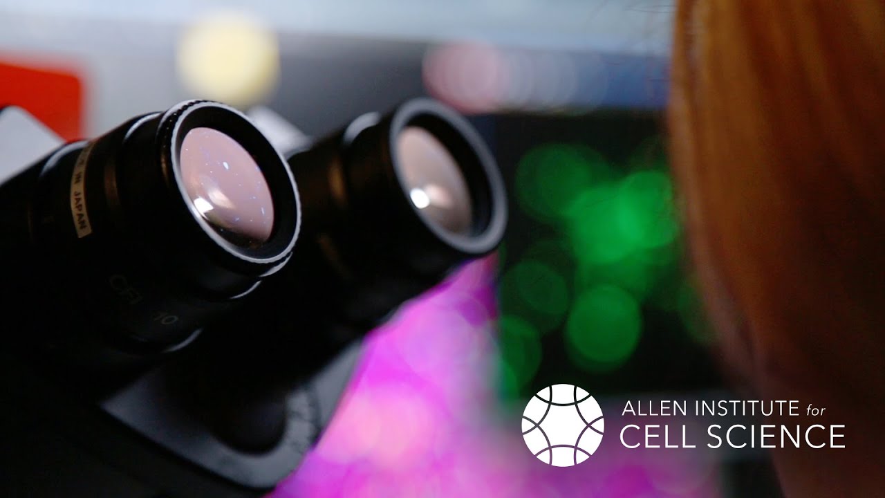 Introducing the Allen Institute for Cell Science - YouTube