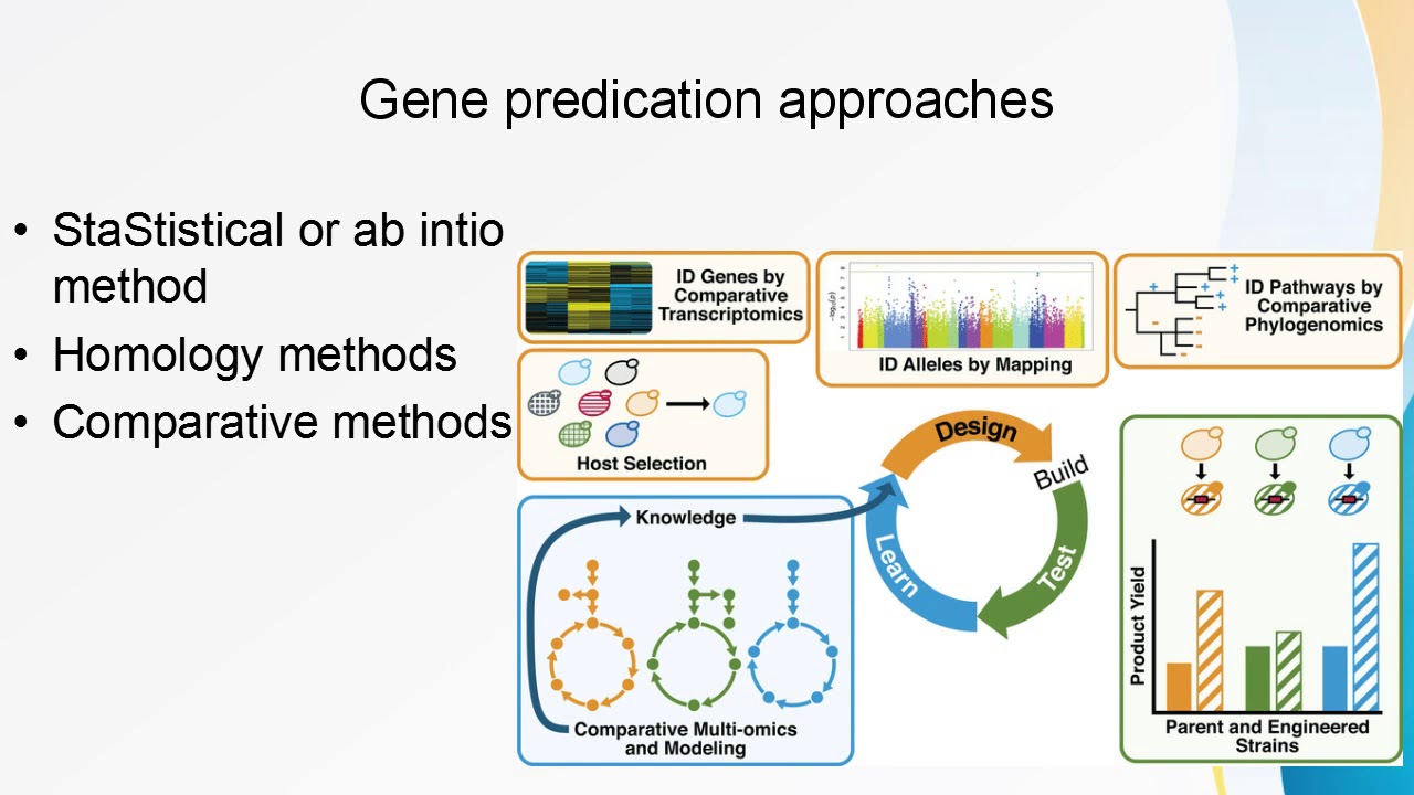 Comparative genomics - YouTube