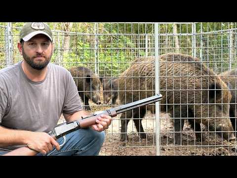 We Can’t Let these WILD HOGS Take Over Our Community 