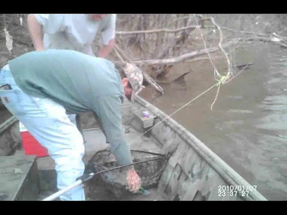 limb lines march 4 2011 - YouTube