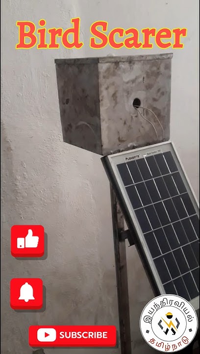 Solar Bird 🕊️ Scarer | Innovative DIY Project for Farmers and Gardeners 🌞🦅@davidarulraj.p ...