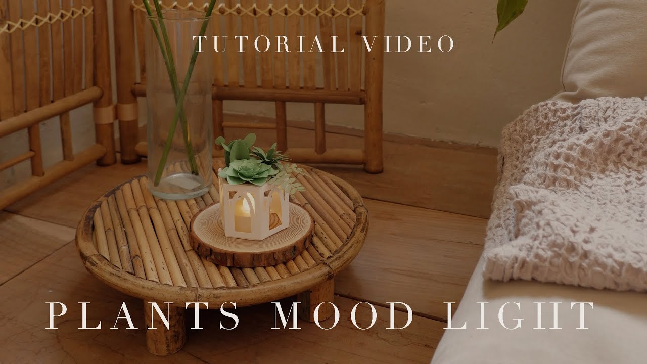 [Mini Class] DIY Plants Mood Light - YouTube