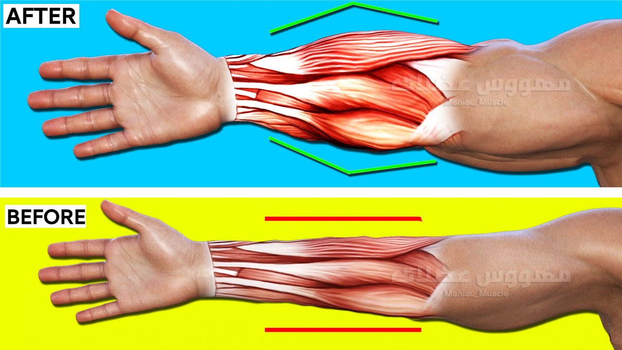 6 BEST Exercises for Bigger Forearms That You've Never Heard of! - YouTube