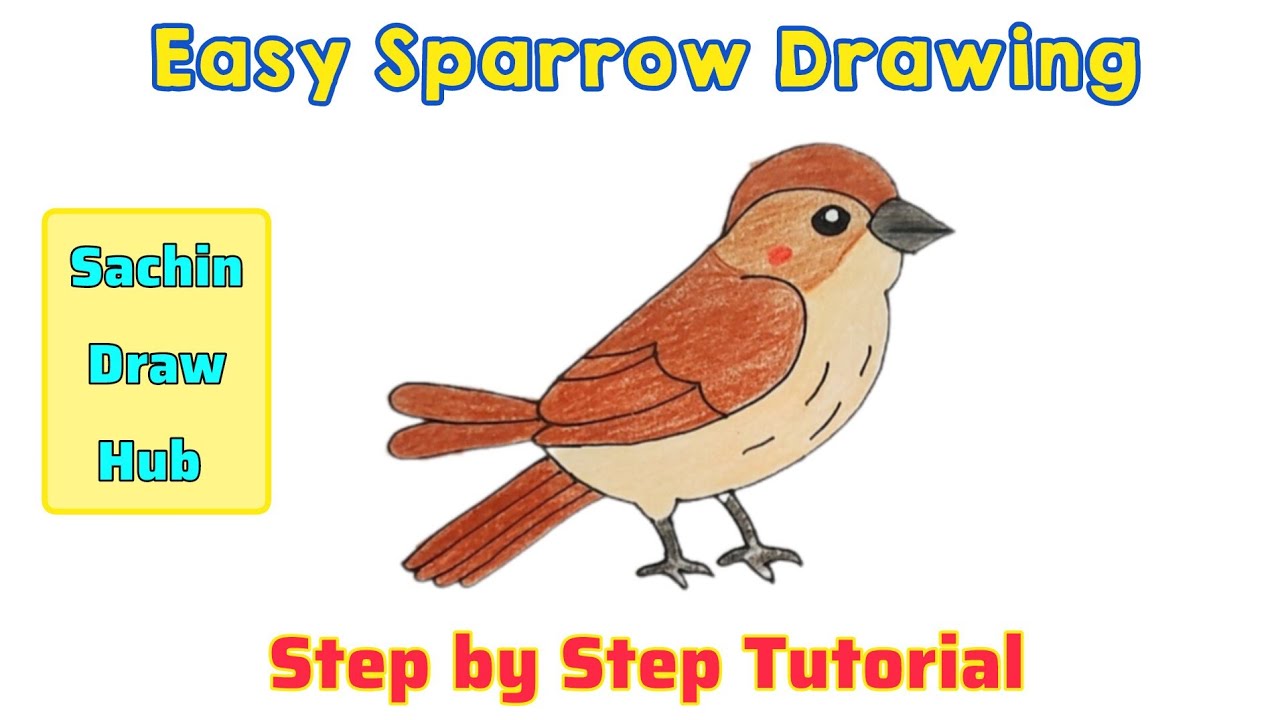 Easy Sparrow Drawing | Simple Bird Drawing Tutorial for Beginners ...