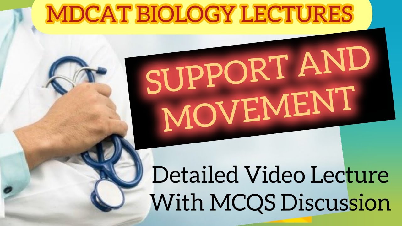20 Most Repeated MDCAT Mcqs | Support and Movement | BIOLOGY #mdcat2025 ...