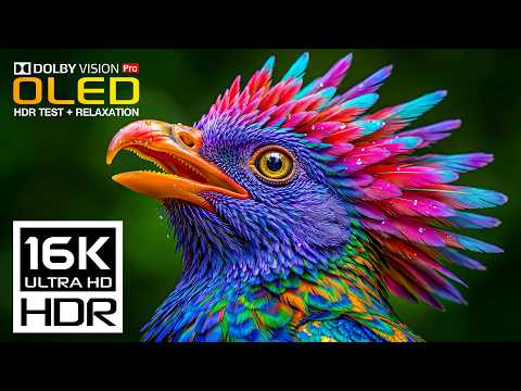 Impossible Nature Animals | OLED HDR TEST | Dolby Vision 120fps (8K/4K Ultra HD)