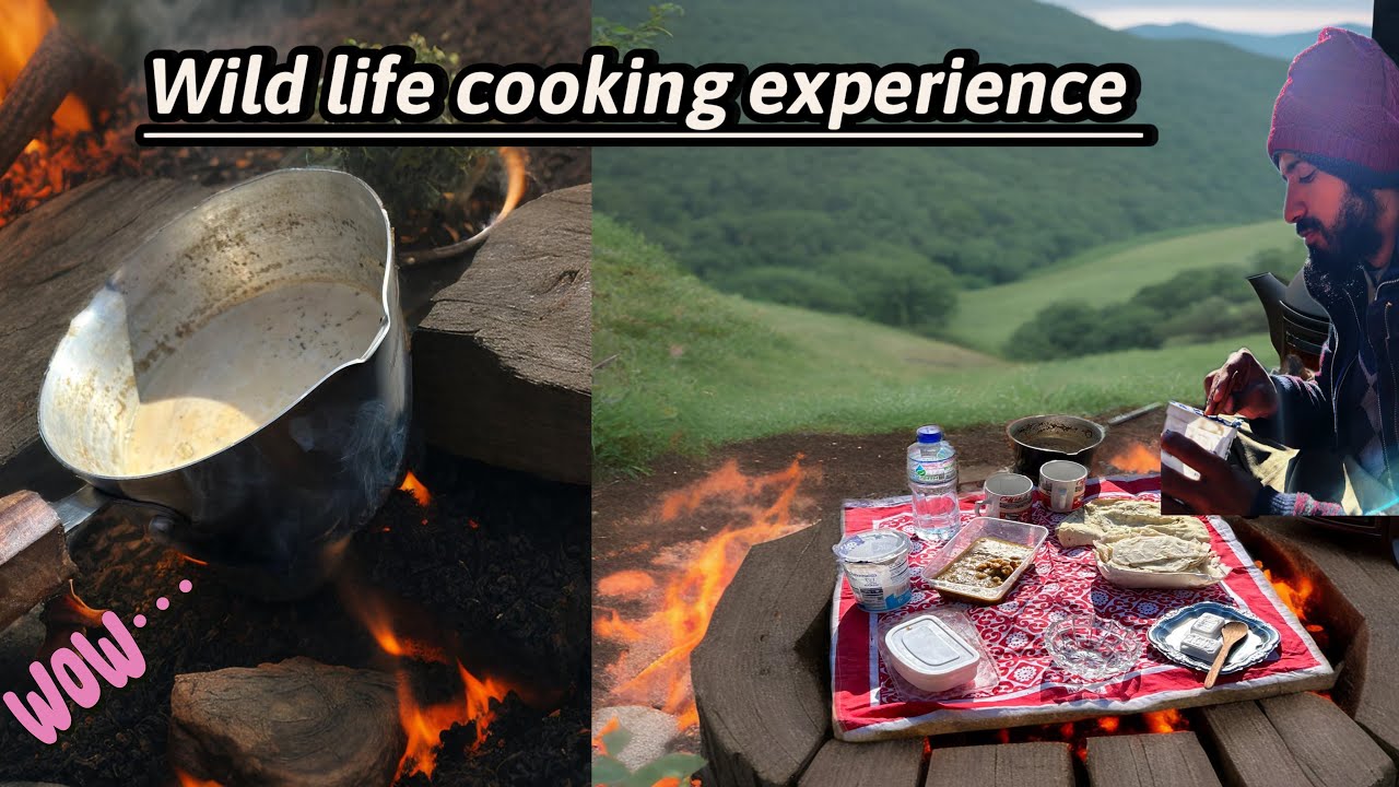 Wild life cooking_made tea on wood fire in Forest_early morning ...