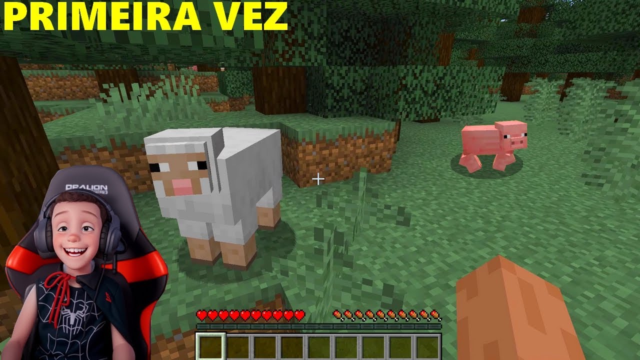 MINHA PRIMEIRA VEZ JOGANDO MINACRAFT, U DAVI GAMES JOGANDO MINECRAFT ...