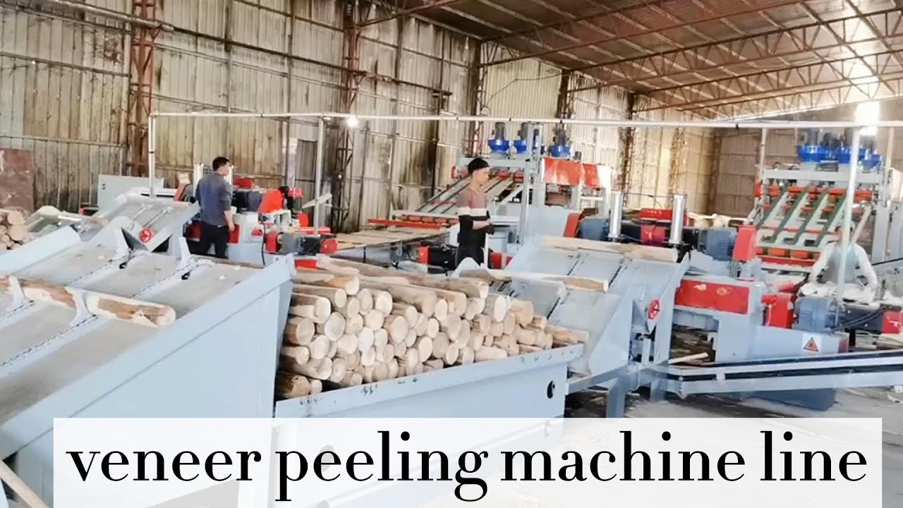 full automatic veneer peeling machine line - YouTube