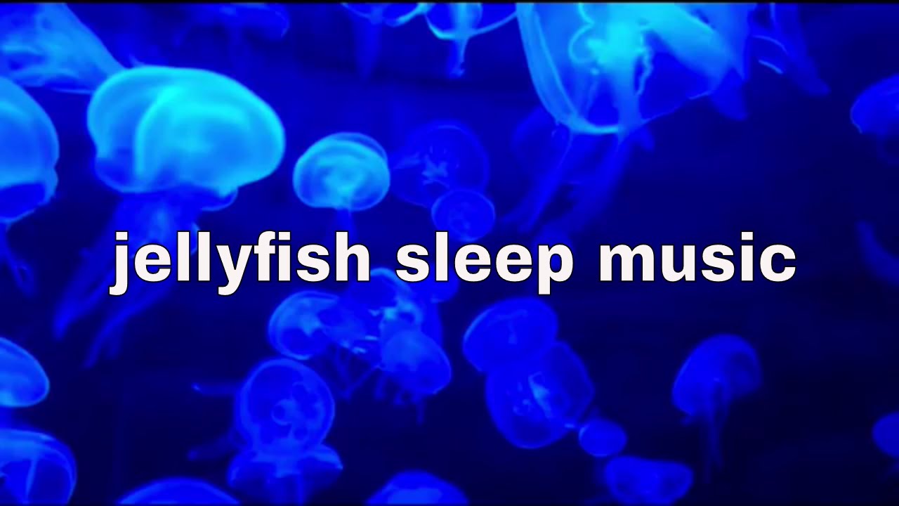 jellyfish sleep music,Relaxing Music for Sleeping,asmr - YouTube