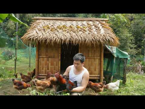 Young CEO Leaves Corporate Life to Revive Abandoned Farm Back Home | Unbelievable Transformation