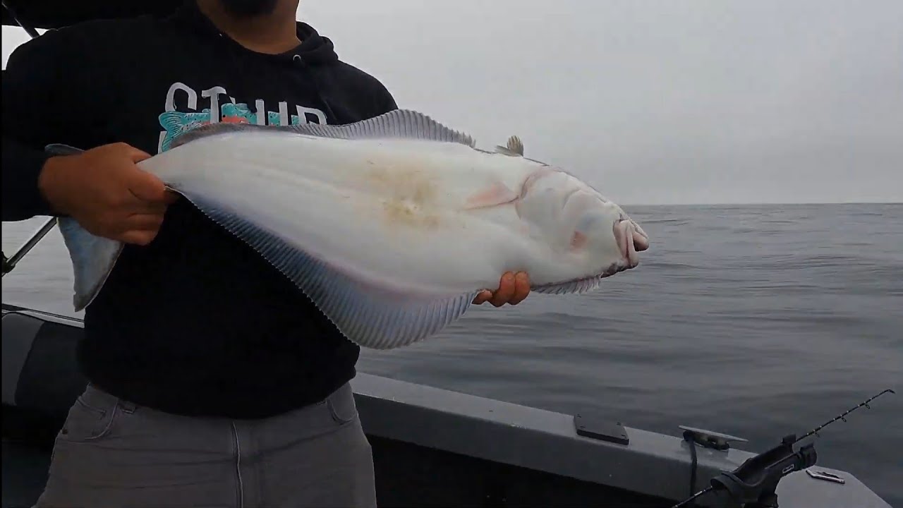 Another Awesome Day Fishing For Halibut! So Many Halibut! - YouTube
