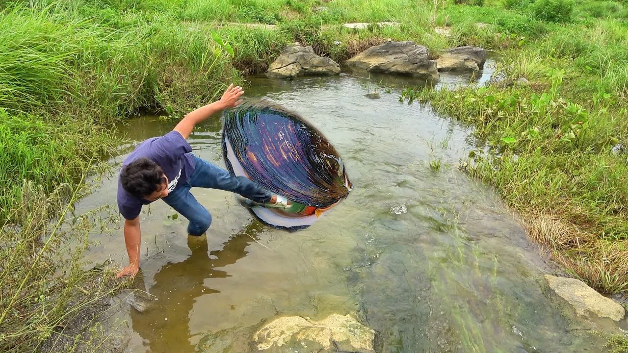 🎁Giant clams growing in clear spring water, containing countless ...